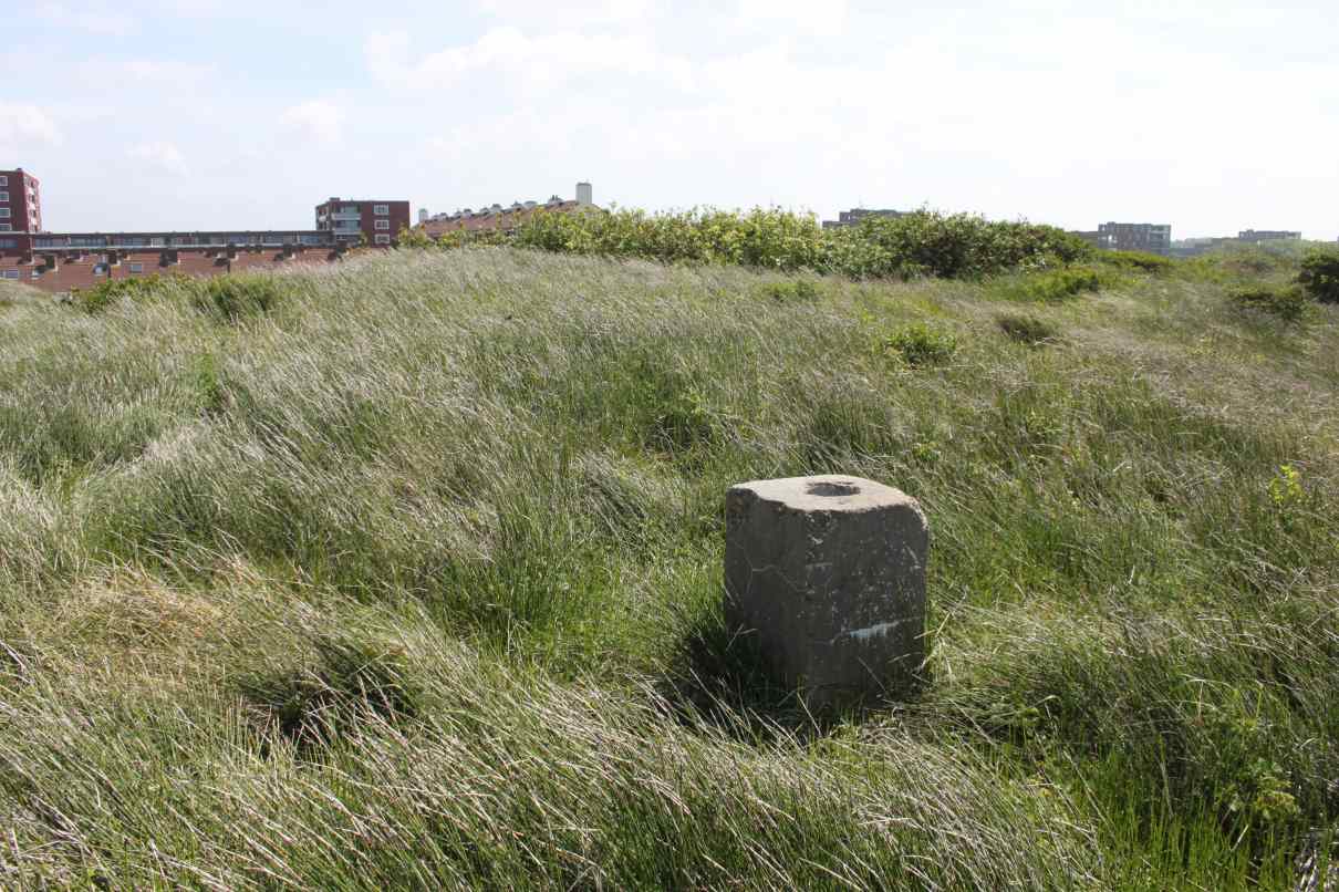 Stützpunktgruppe Scheveningen # Bunkers # Regelbau # Stahlbeton.nl